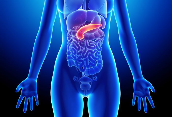Slinivka a slezina - jak jim pomoci přírodní cestou | Green-market.cz